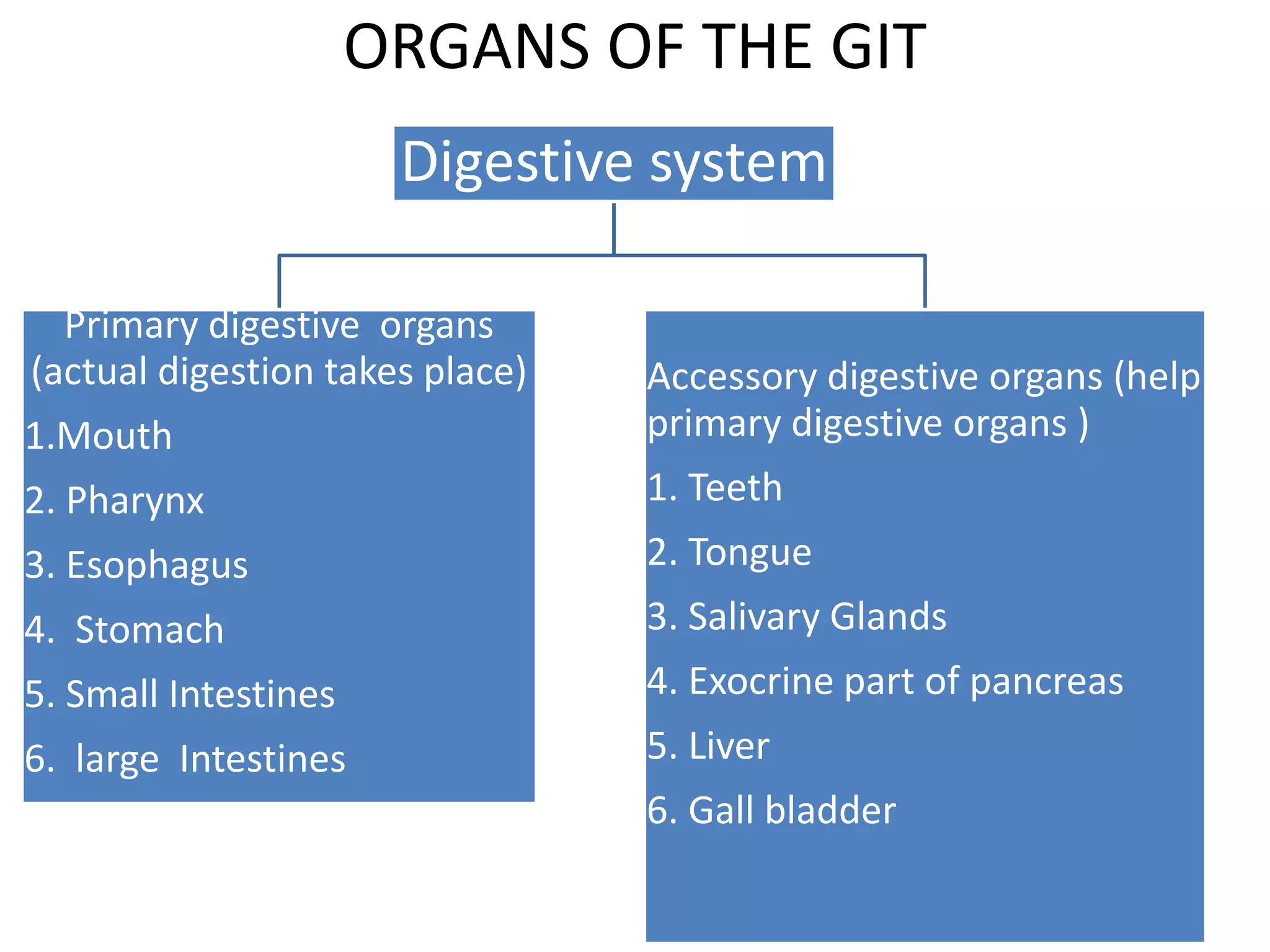 Digestive system anatomy and physiology | PPTX