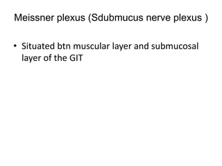 Digestive system anatomy and physiology | PPTX