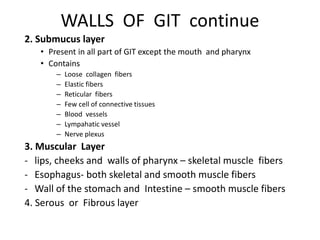 Digestive system anatomy and physiology | PPTX