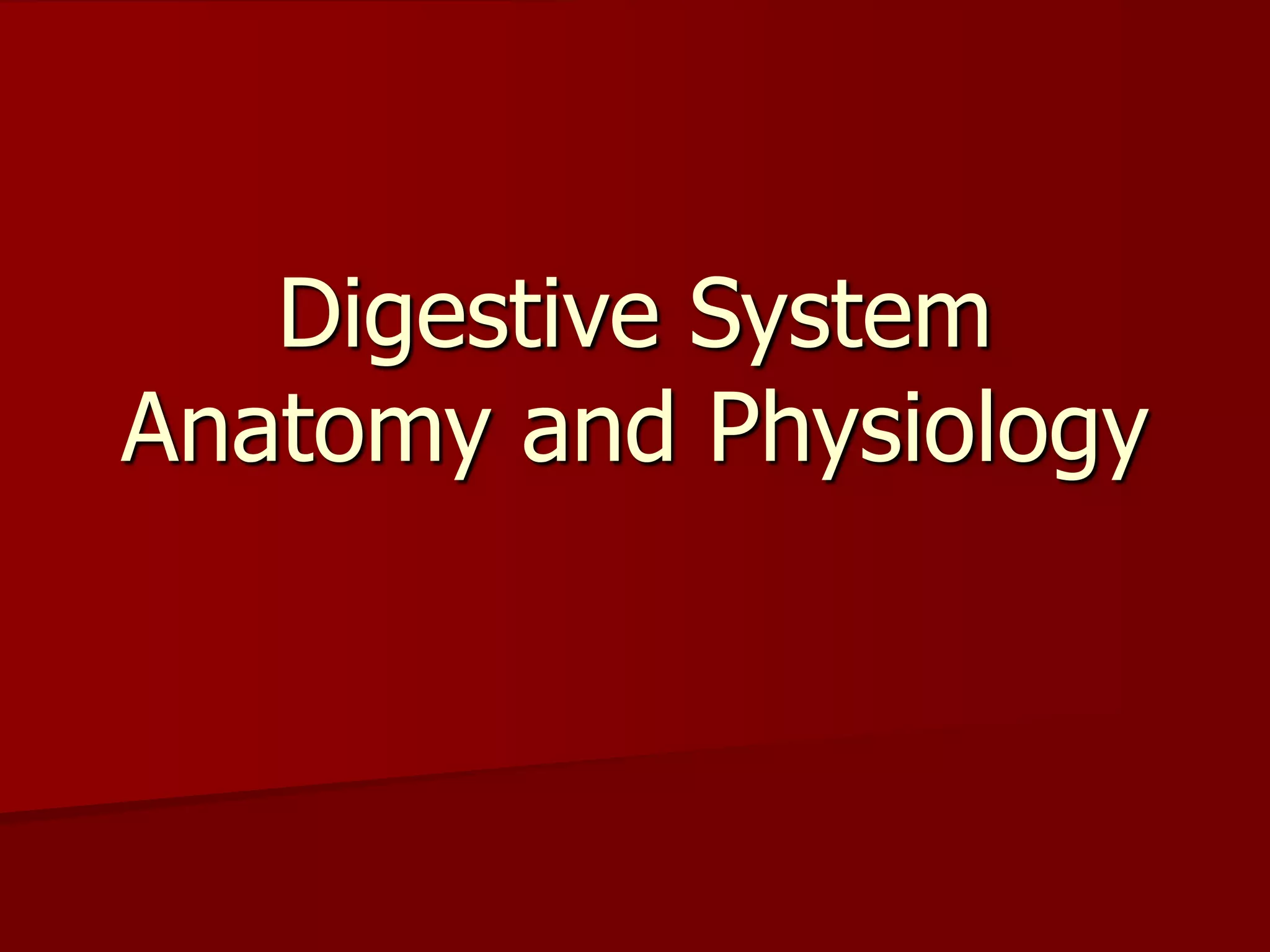 Digestive System Anatomy and Physiology.ppt