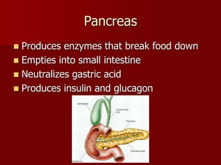 Digestive System Anatomy and Physiology.ppt