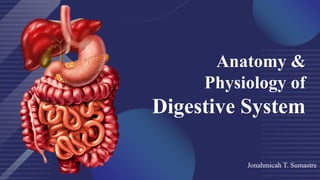 Digestive System_Anatomy and Physiology.pptx