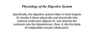 Digestive System Anatomy and Physiology Slides.pptx