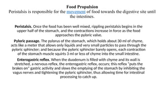Digestive System Anatomy and Physiology Slides.pptx