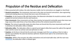 Digestive System Anatomy and Physiology Slides.pptx