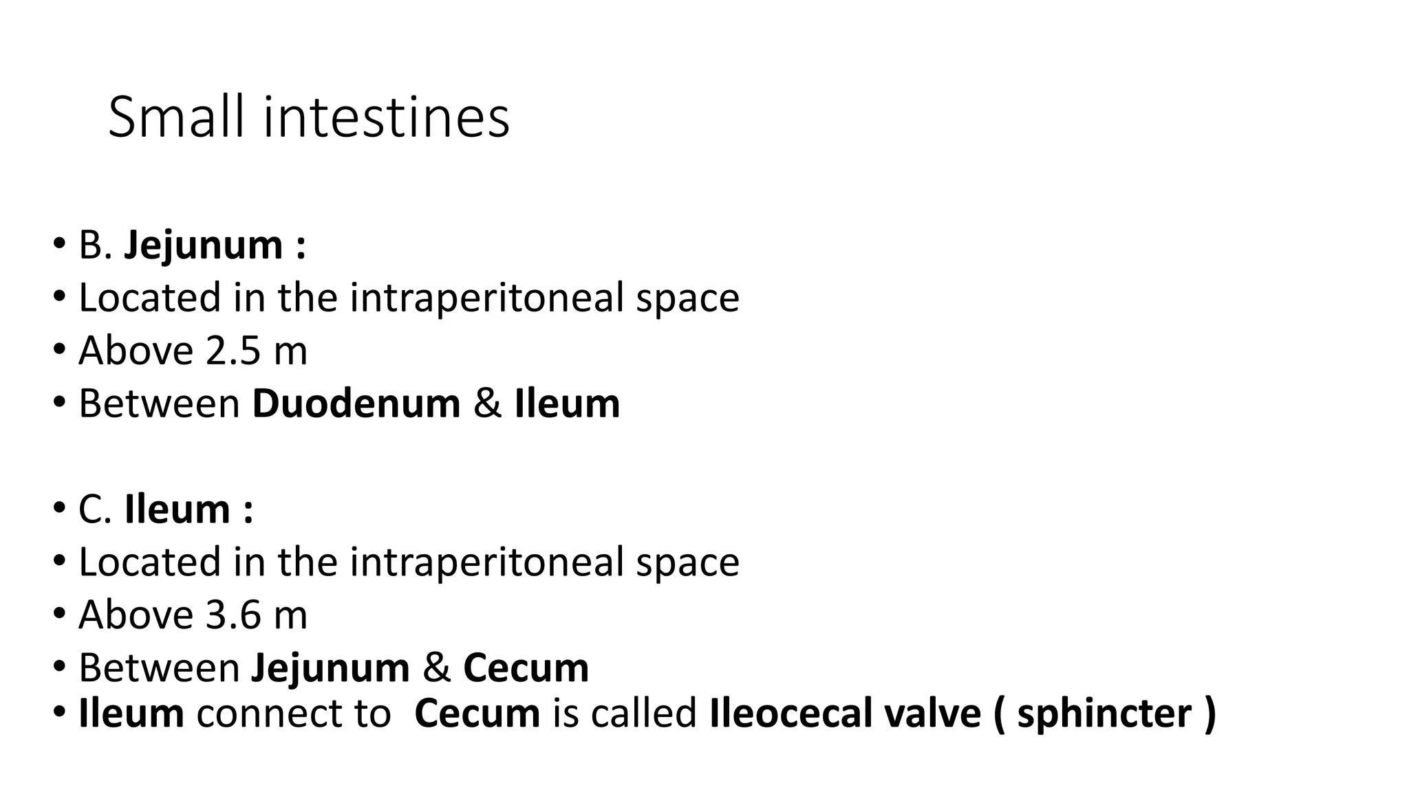 Digestive system anatomy clinic | PPTX