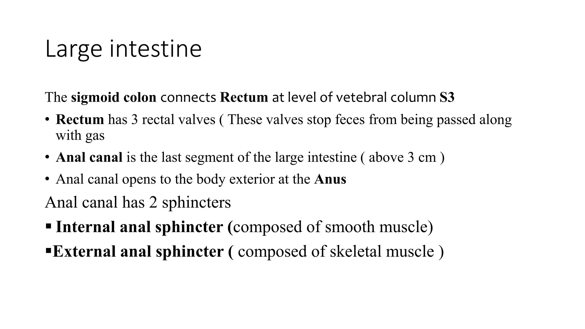 Digestive system anatomy clinic | PPTX
