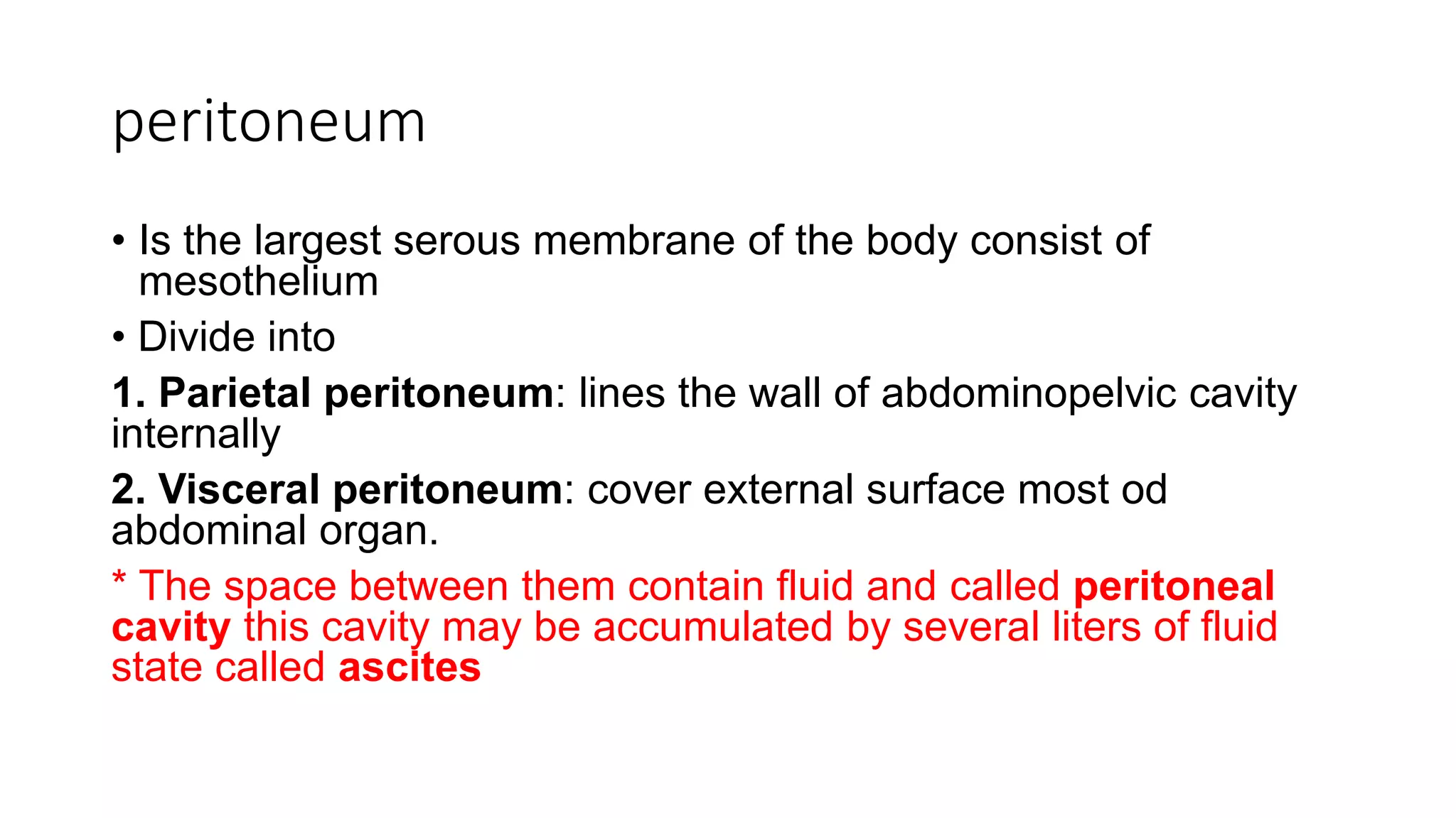 Digestive system anatomy clinic | PPTX