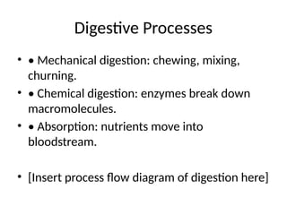 Digestive_System_Anatomy_Physiology_BSN1H.pptx