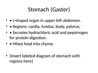 Digestive_System_Anatomy_Physiology_BSN1H.pptx