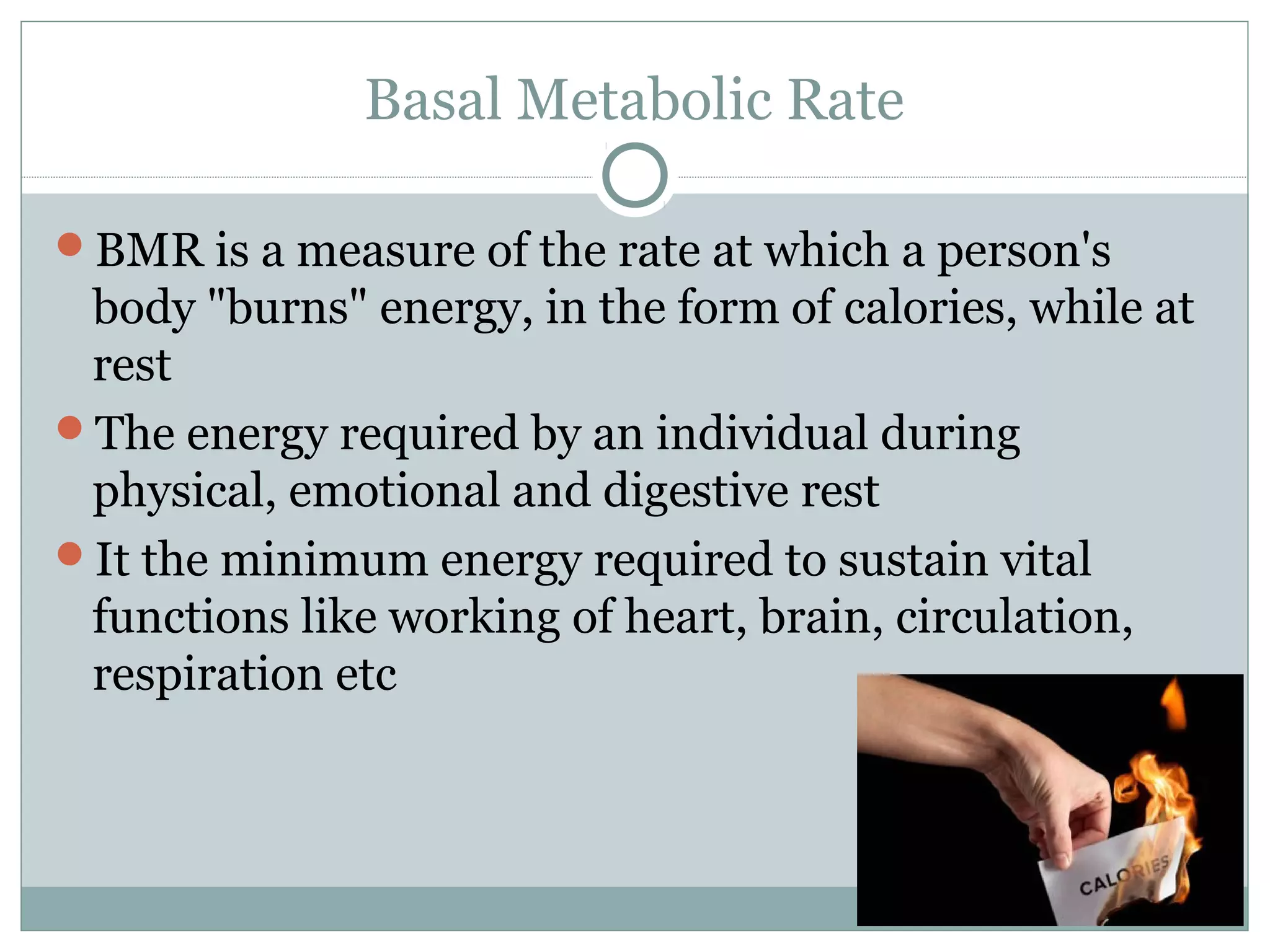 Digestive system and BMR | PPT
