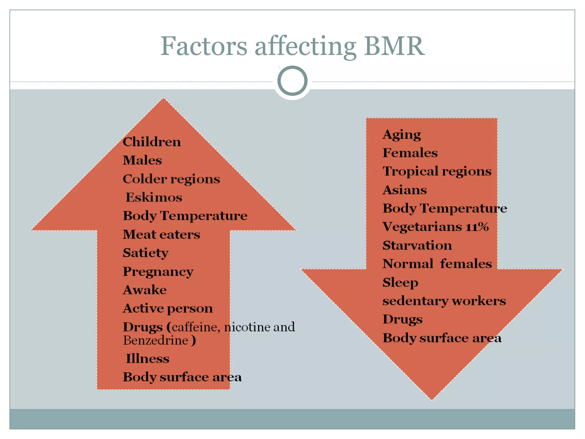 Digestive system and BMR | PPT