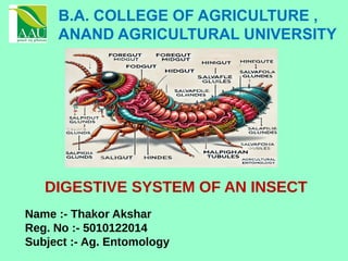 Digestive system of insect and Digestion in insect.pptx