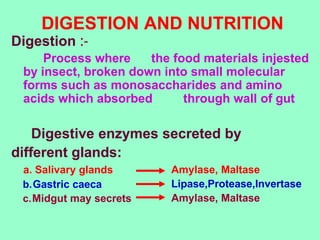 Digestive system of insect and Digestion in insect.pptx