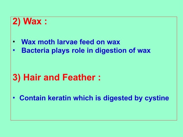Digestive system of insect and Digestion in insect.pptx
