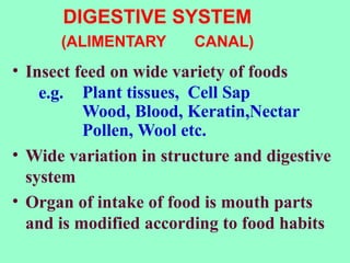 Digestive system of insect and Digestion in insect.pptx