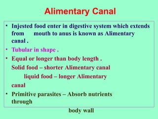 Digestive system of insect and Digestion in insect.pptx