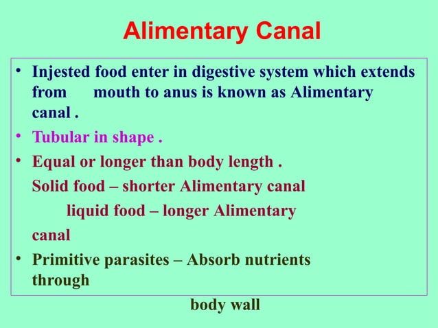 Digestive system of insect and Digestion in insect.pptx