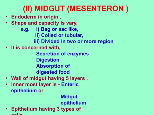 Digestive system of insect and Digestion in insect.pptx
