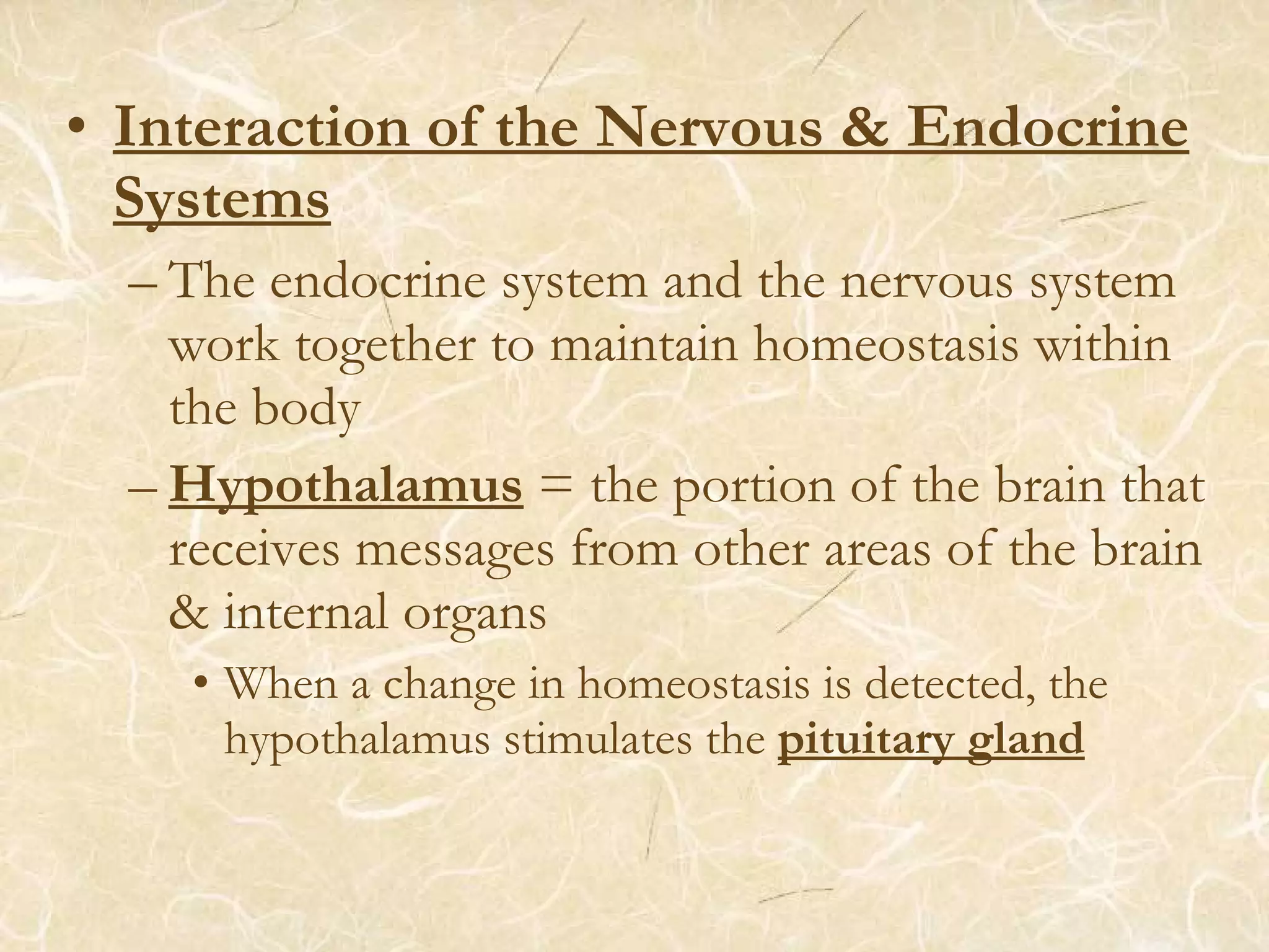Digestive System And Endocrine | PPT