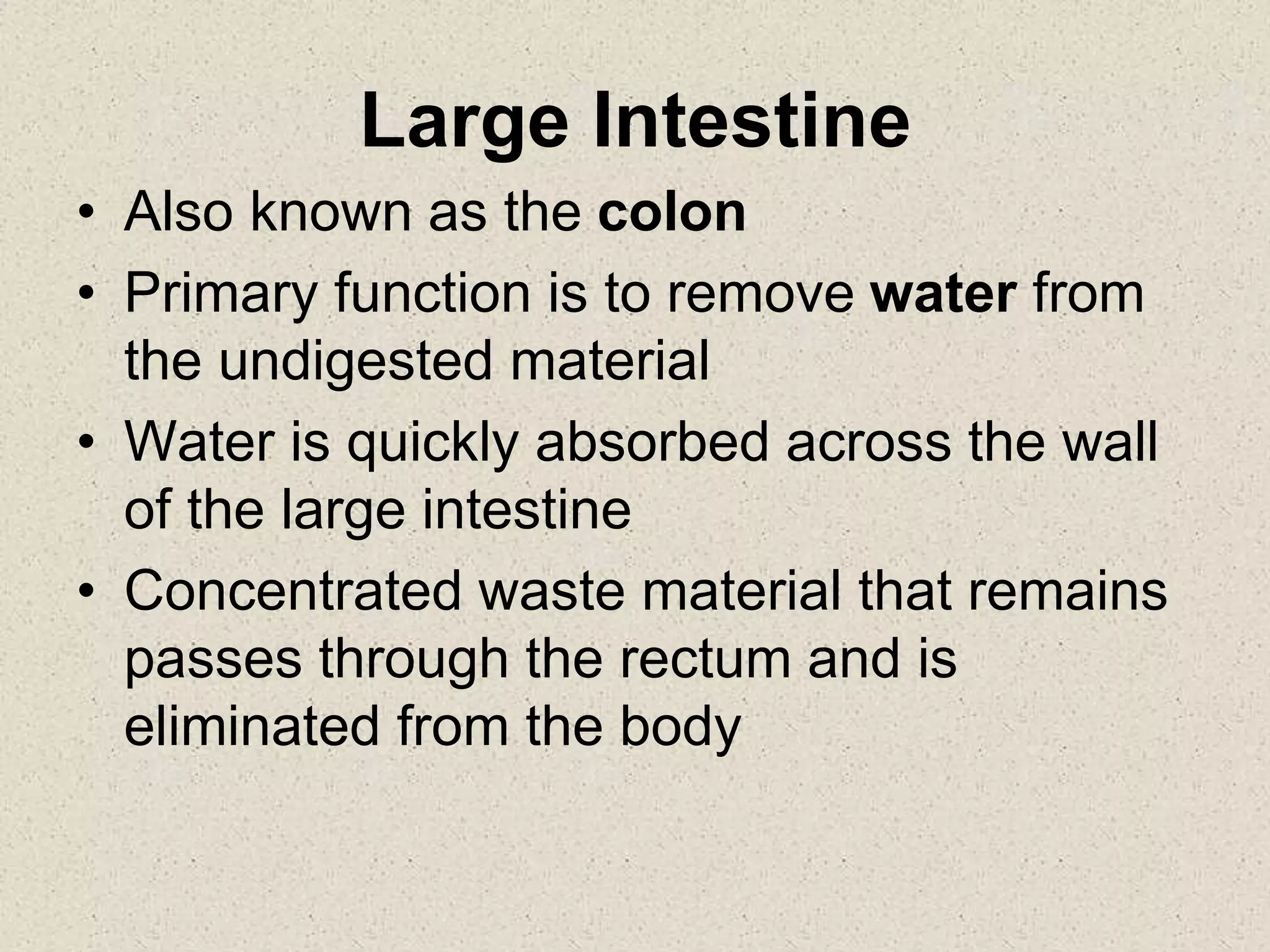 Digestive_systemand_Excretory_System.ppt