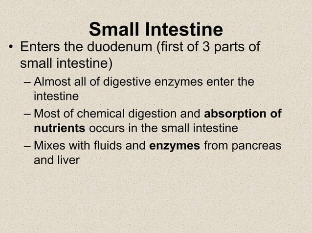 Digestive_systemand_Excretory_System.ppt