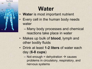 Digestive_systemand_Excretory_System.ppt