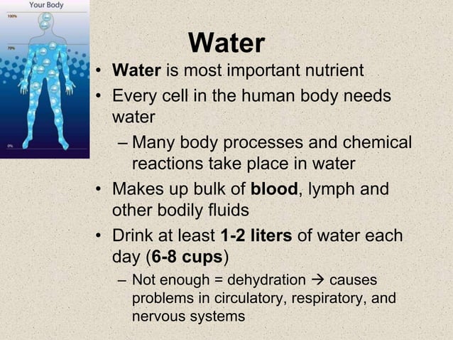 Digestive_systemand_Excretory_System.ppt