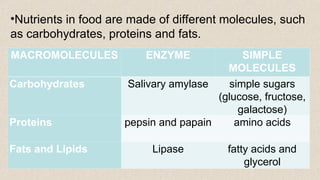 Digestive_systemand_Excretory_System.ppt