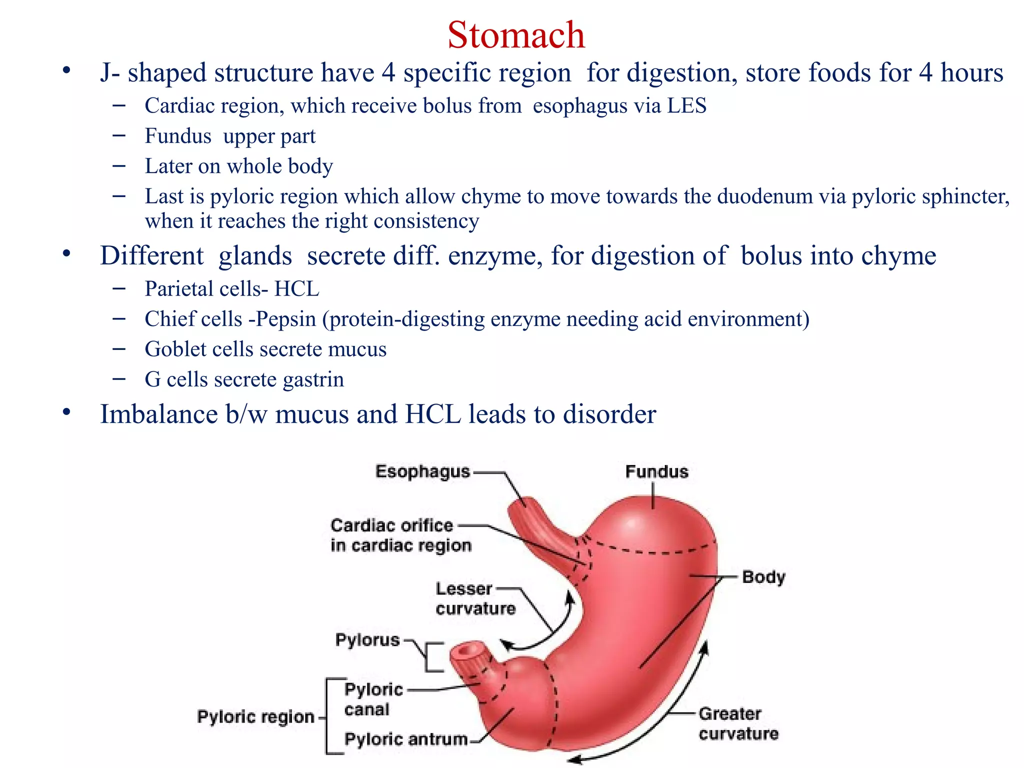 Digestive system and its disease | PPT | Digestive Disorders | Diseases ...