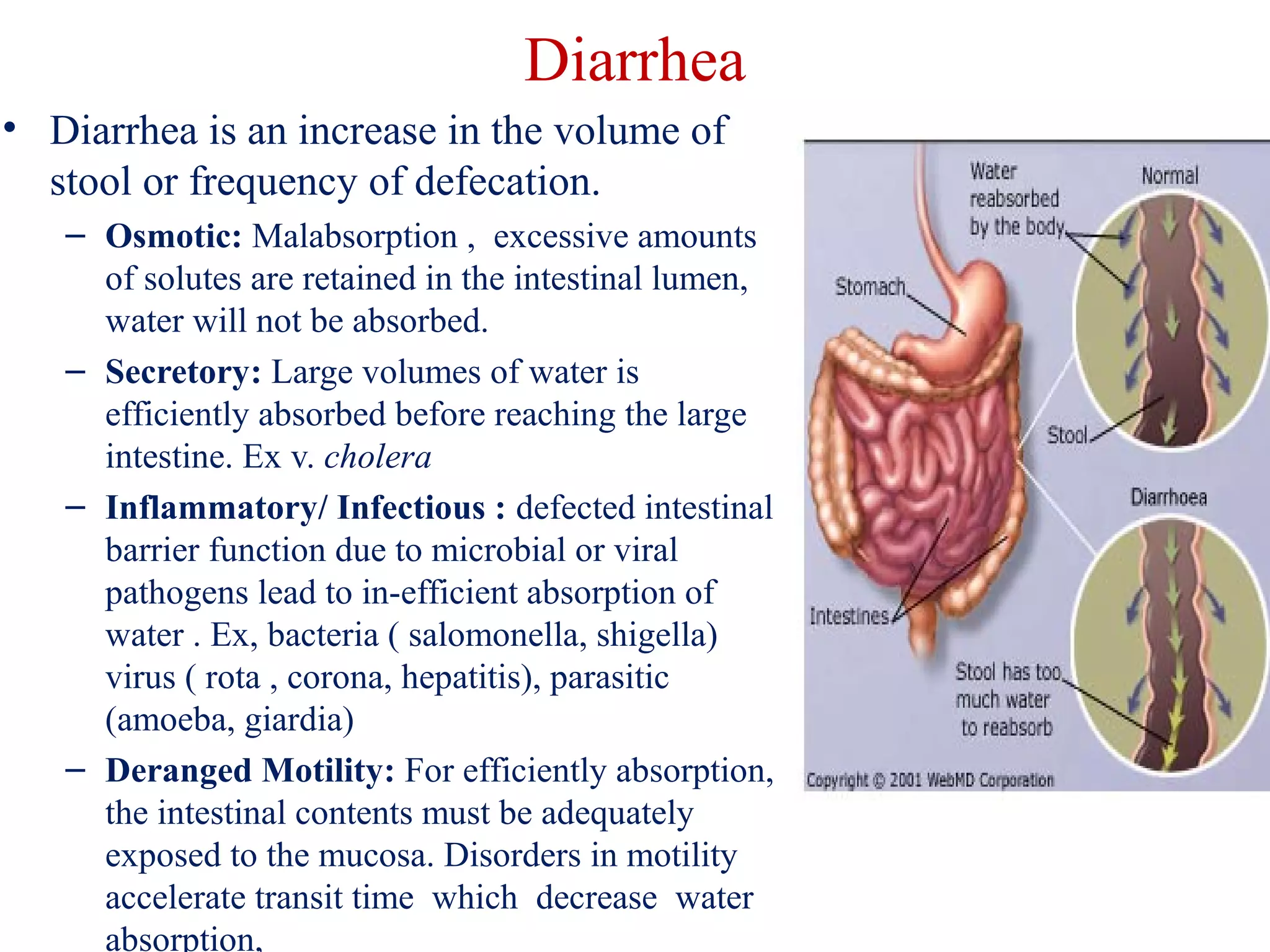 Digestive system and its disease | PPT