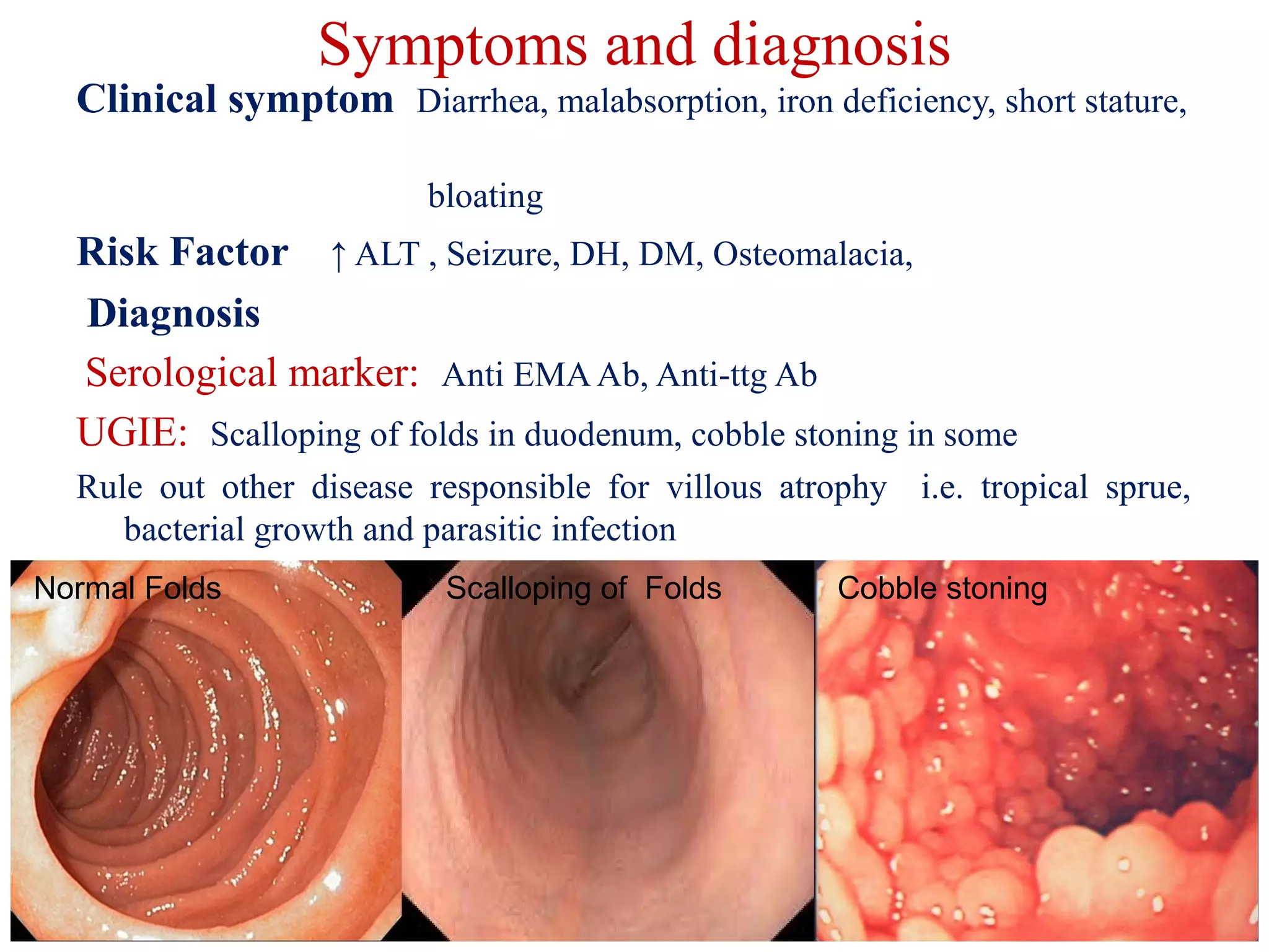 Digestive system and its disease | PPT