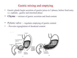 Digestive system and its disease | PPT