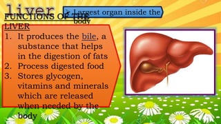 Digestive system and its parts | PPT