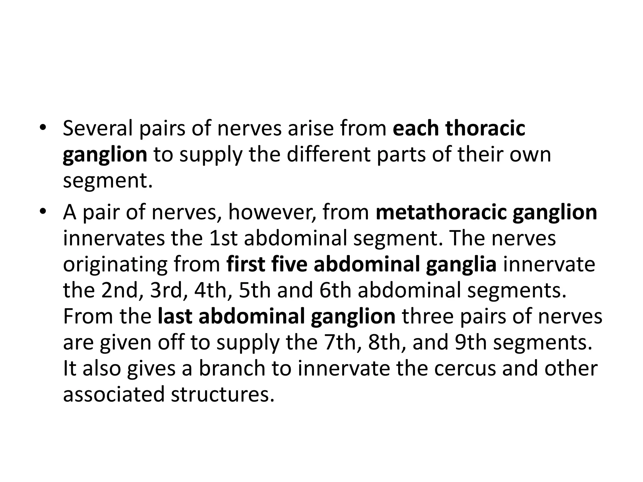 Digestive System and Nervous System of Invertebrate.pptx