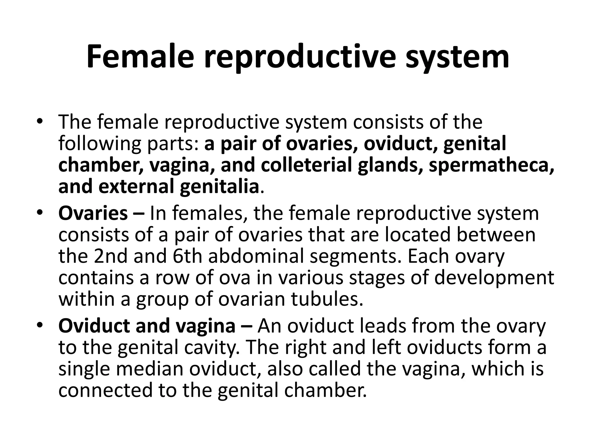 Digestive System and Nervous System of Invertebrate.pptx