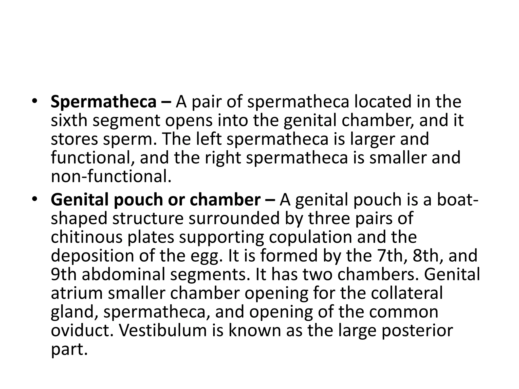 Digestive System and Nervous System of Invertebrate.pptx