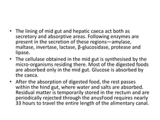 Digestive System and Nervous System of Invertebrate.pptx