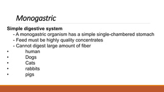 Digestive system animals | PPTX