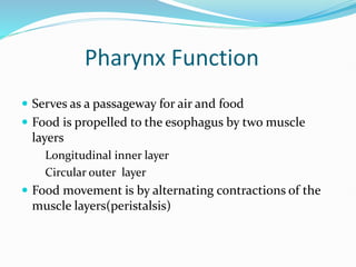 Digestive system A&P_065809.pptx slideshare | PPTX