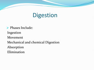 Digestive system A&P_065809.pptx slideshare | PPTX
