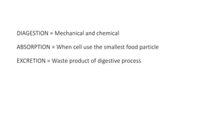 Digestive system | PPTX