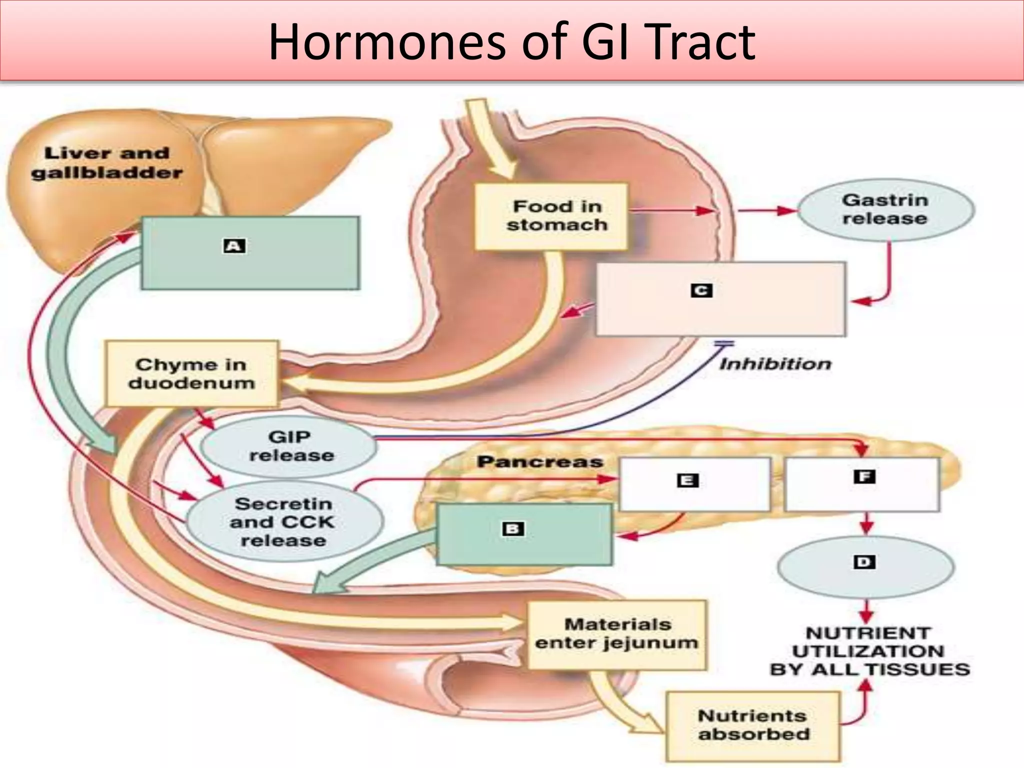 Digestive system ashok | PPTX