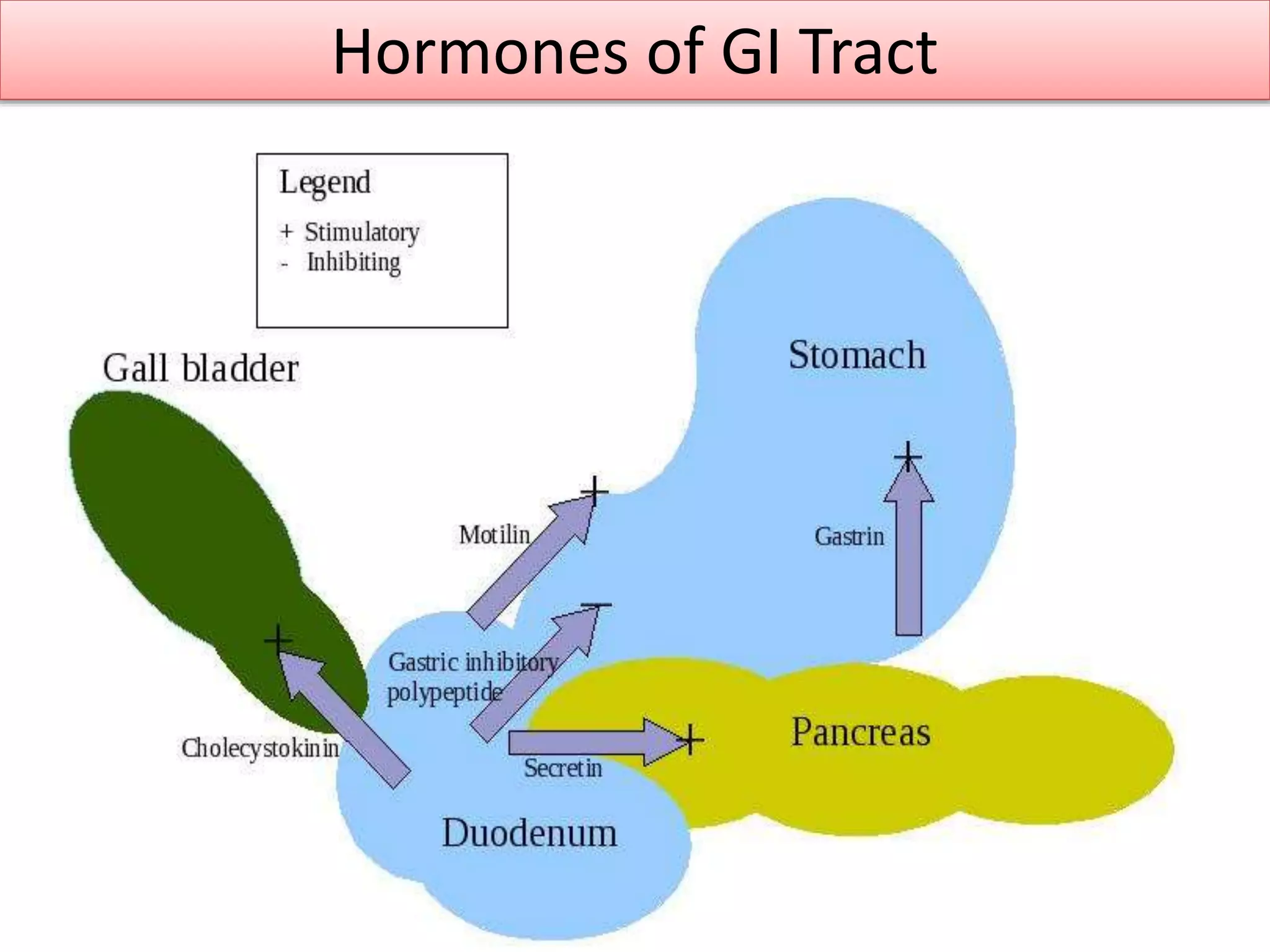 Digestive system ashok | PPTX