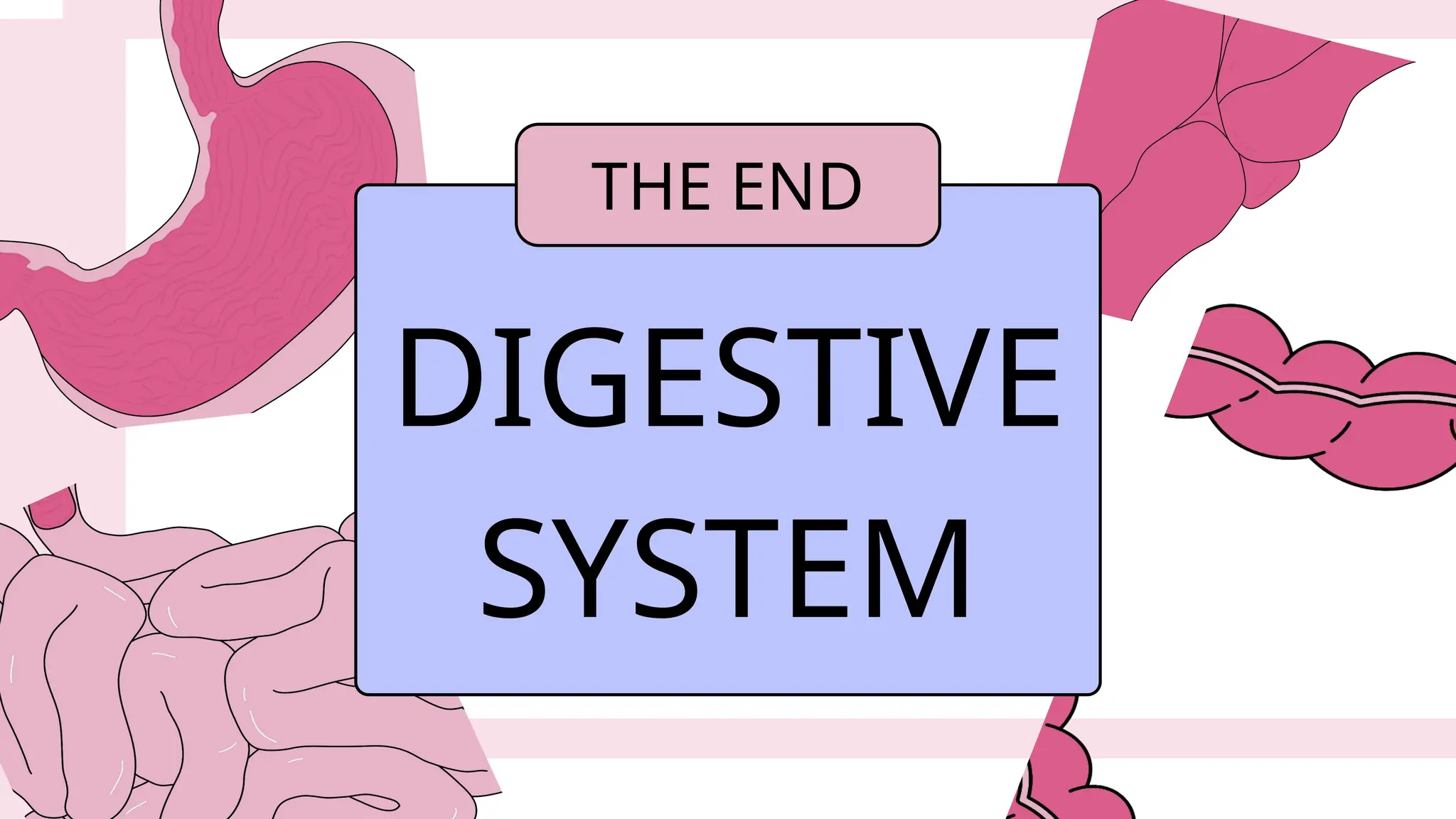 Digestive System Biology Presentation in a Bold Pink Blue Style.pptx