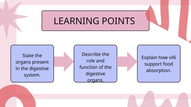 Digestive System Biology Presentation in a Bold Pink Blue Style.pptx