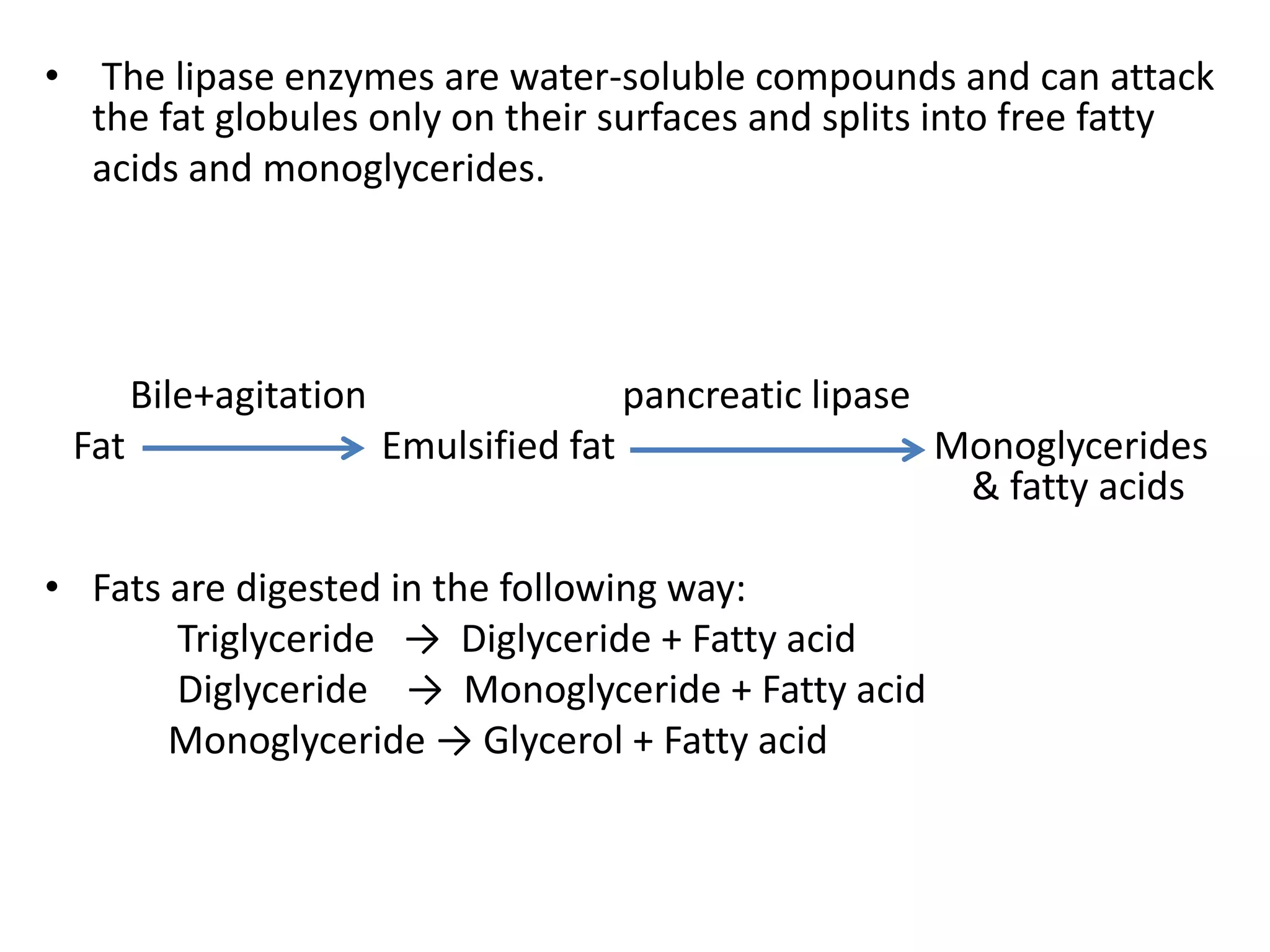 Digestive system (Carbohydrate, Protein, fat) | PPTX