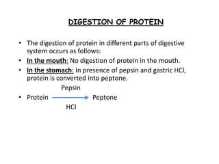 Digestive system (Carbohydrate, Protein, fat) | PPTX