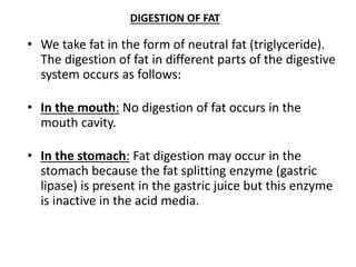Digestive system (Carbohydrate, Protein, fat) | PPTX | Digestive ...