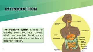 DIGESTIVE SYSTEM_CLASS 10th.pptx